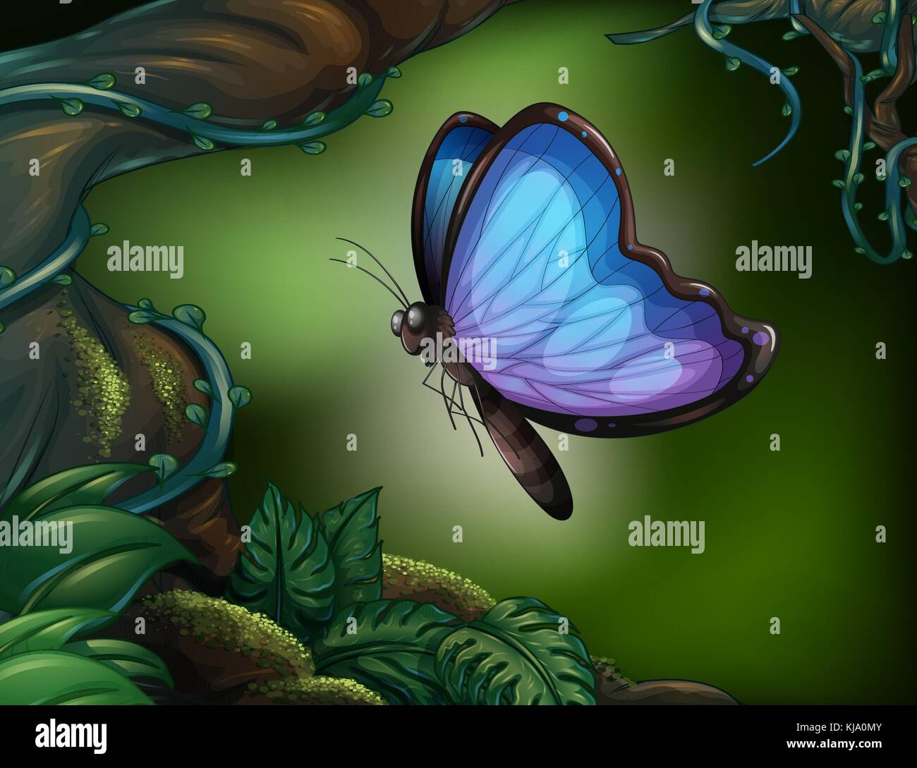 Tropical Rainforest Butterflies