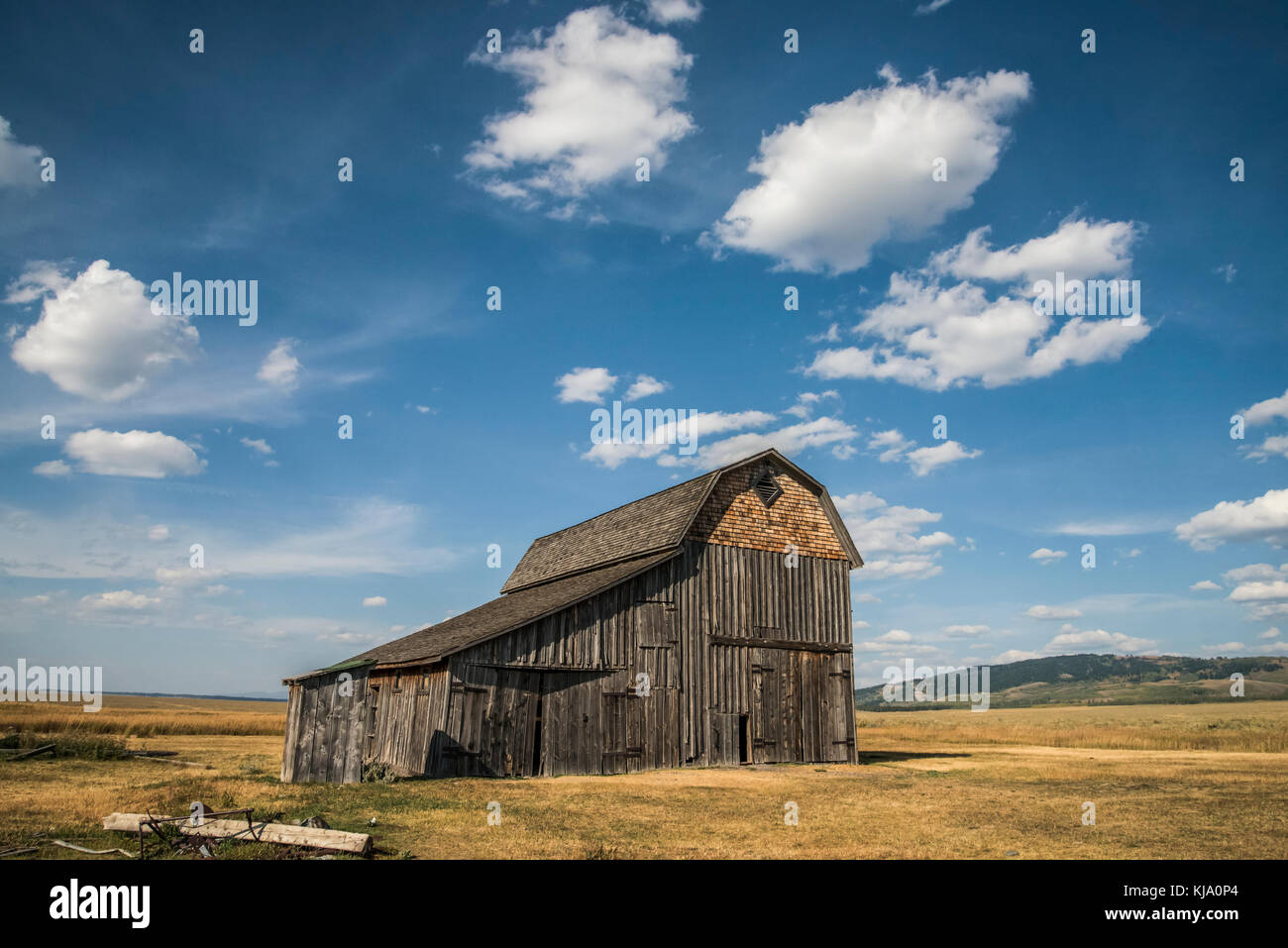 Abandoned Moulton style barn at Mormon Row on Antelope Flats ...