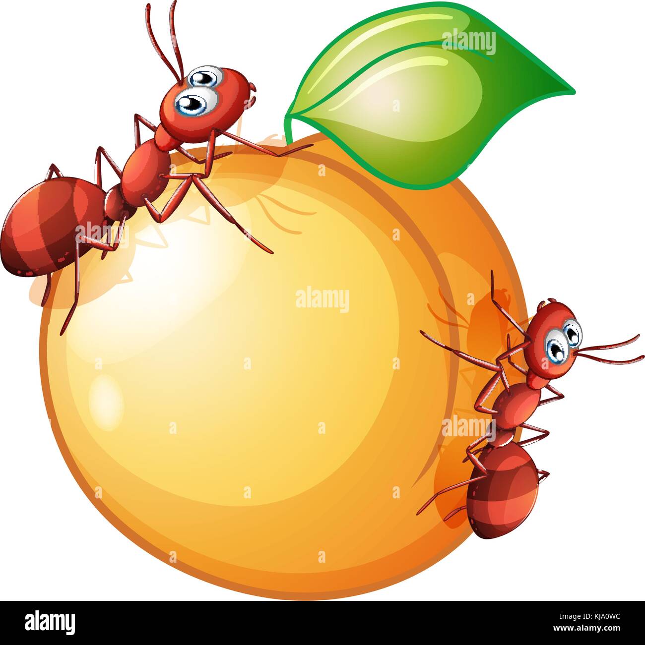 Leaf eating insects Stock Vector Images - Alamy