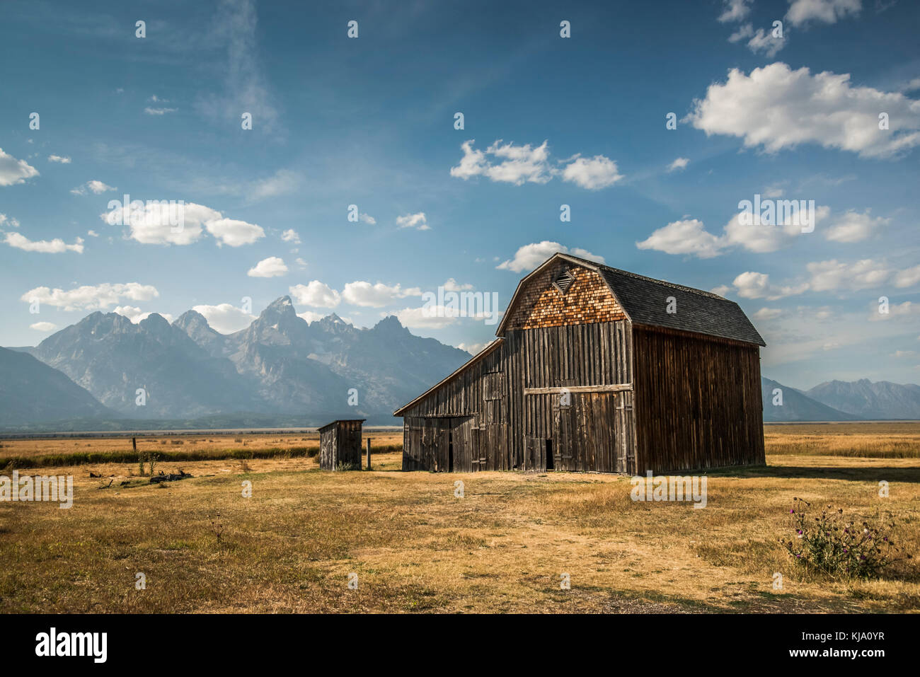 Abandoned Moulton style barn at Mormon Row on Antelope Flats ...
