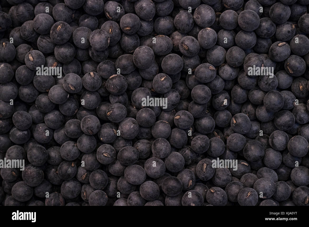 Raw dried black soybeans, kuromame full frame Stock Photo - Alamy