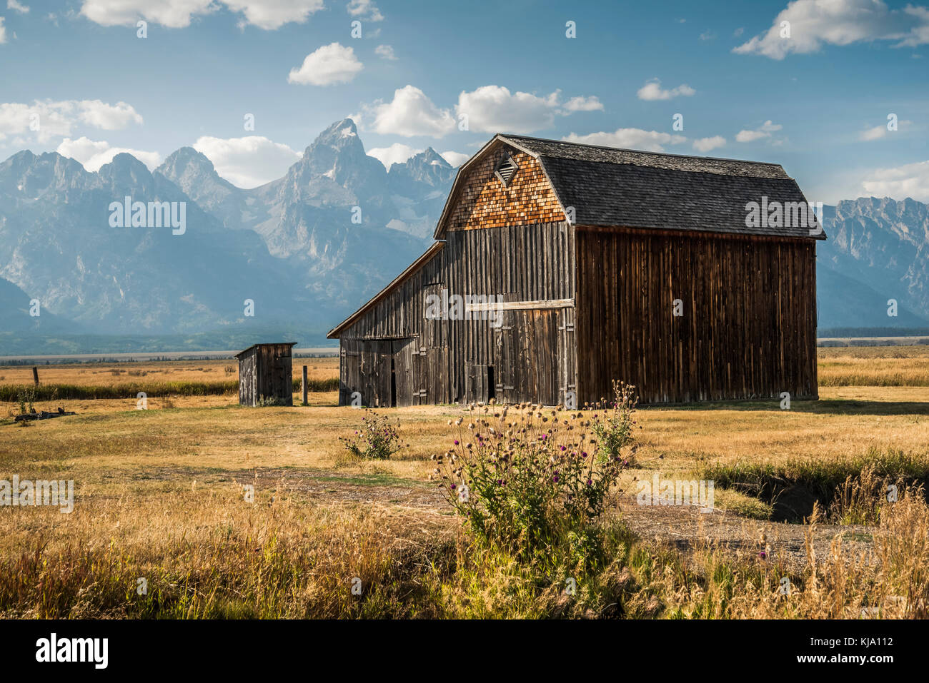 Abandoned Moulton style barn at Mormon Row on Antelope Flats ...