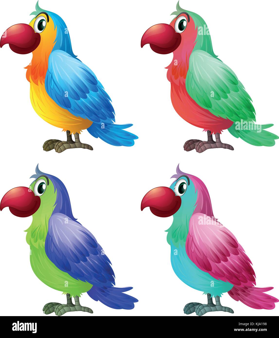 Illustration of the four colorful parrots on a white background Stock ...