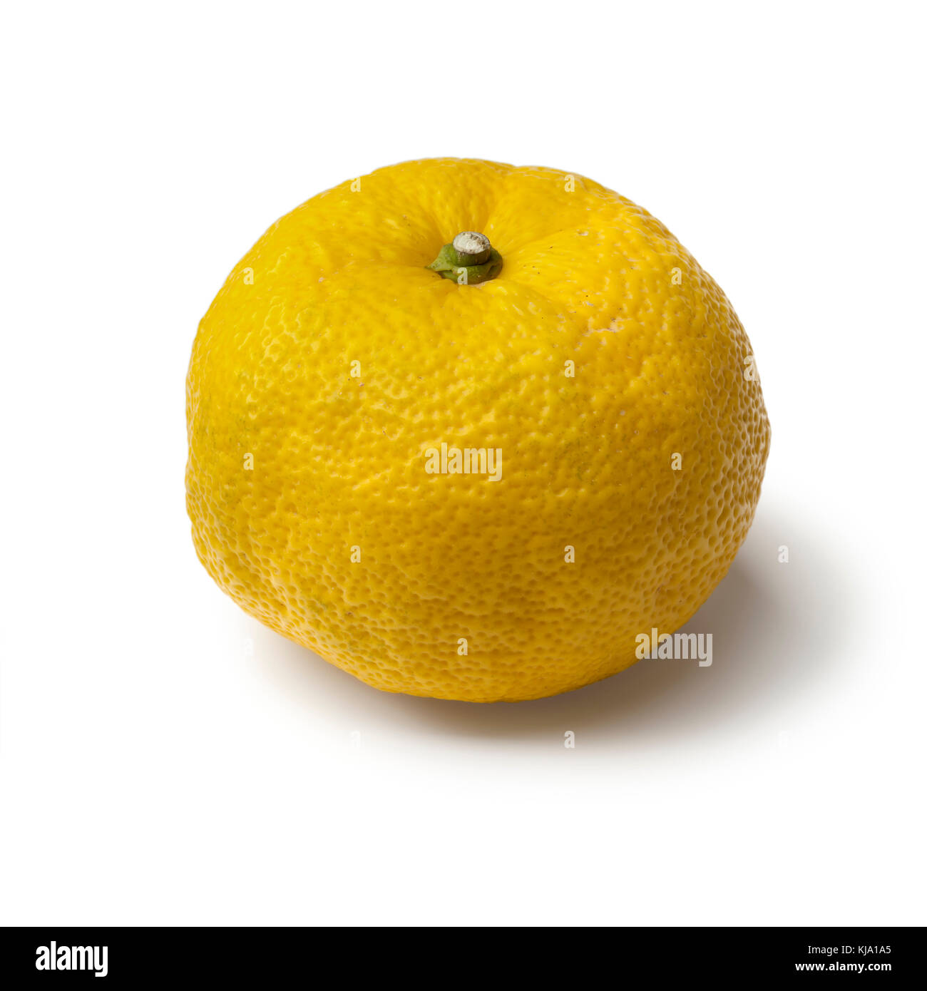 Singel fresh yellow Japanese Yuzu on white background Stock Photo - Alamy