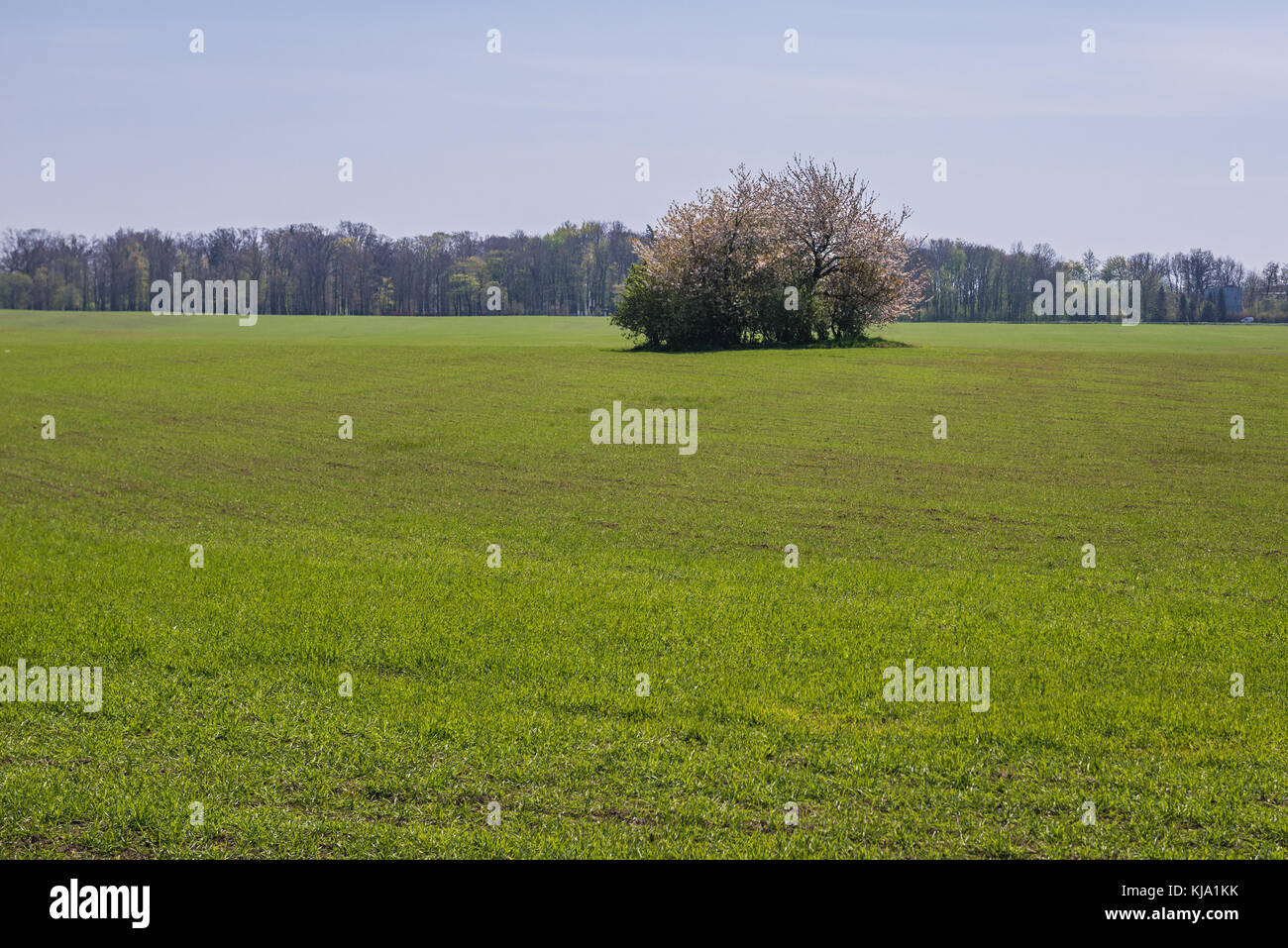 Gaski hi-res stock photography and images - Alamy
