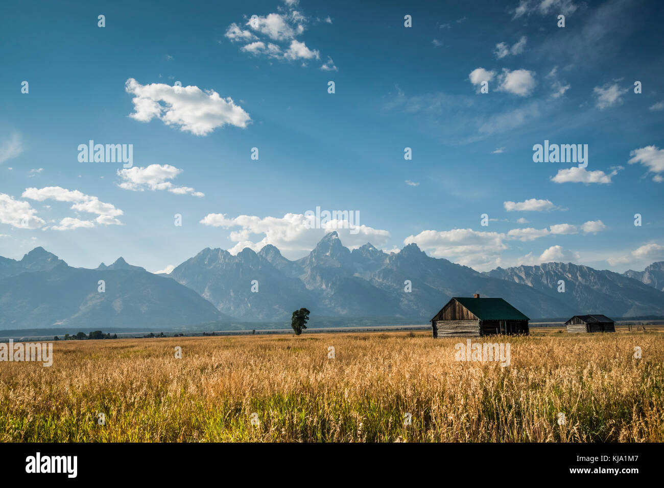 Abandoned buildings at Mormon Row on Antelope Flats overlooking Grand ...