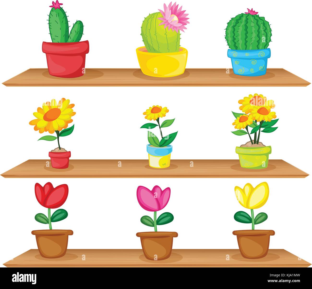 Illustration of the wooden shelves with ornamental plants on a white ...