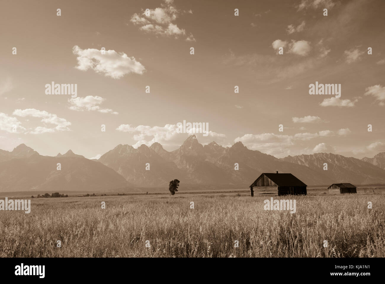 Abandoned buildings at Mormon Row on Antelope Flats overlooking Grand ...