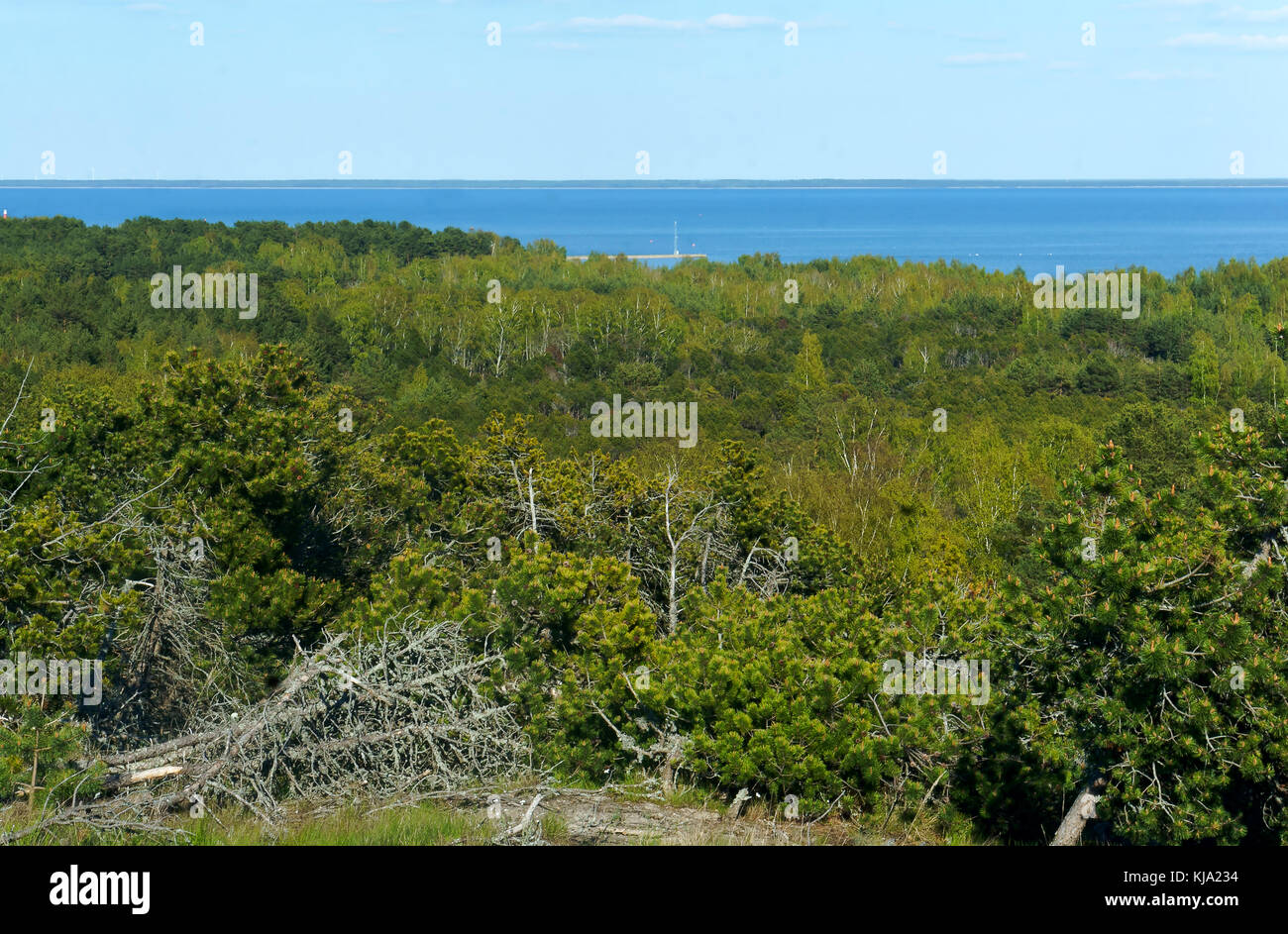 the view from the top, landscape forest trees high Stock Photo - Alamy