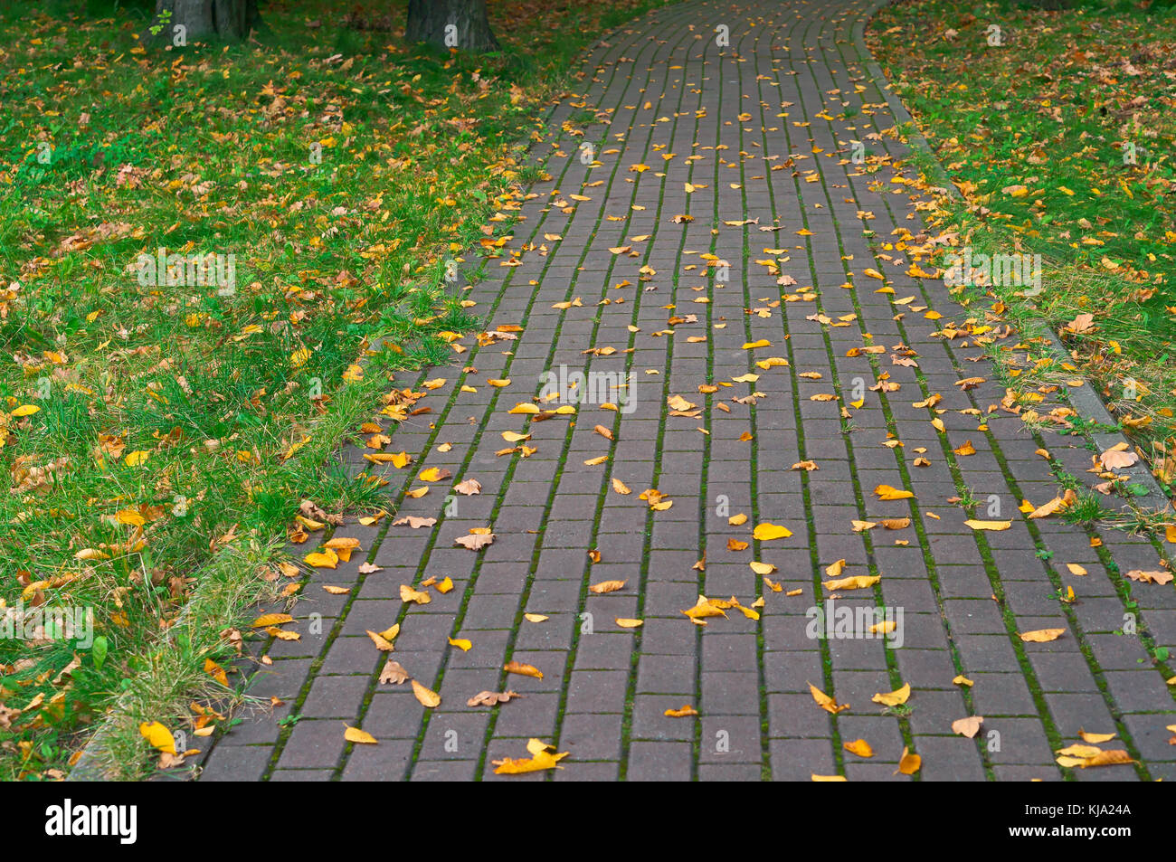 paving slabs, driveway paving, coating colored paving tiles Stock Photo ...