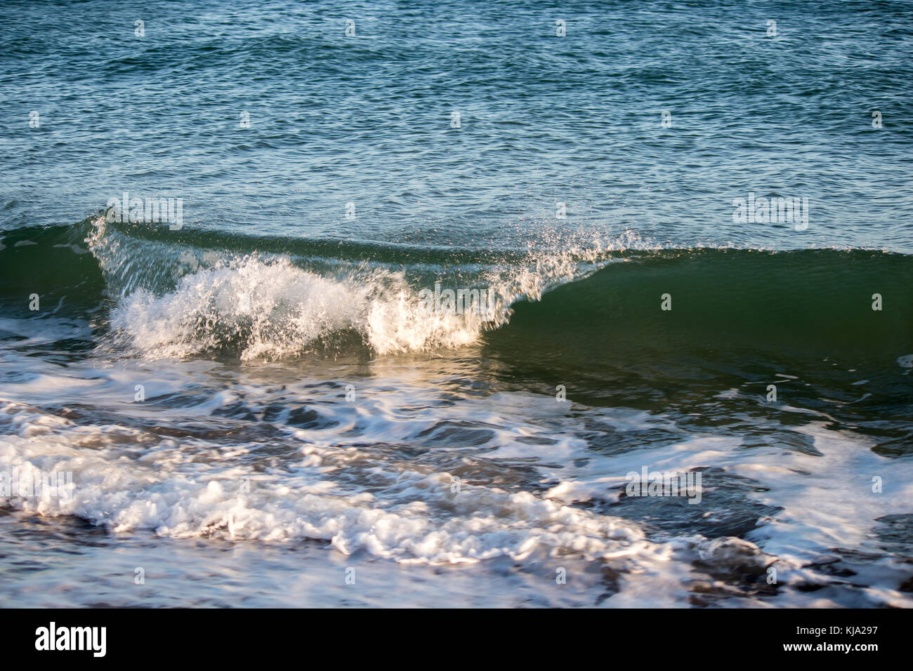 Breaking wave on a beach Stock Photo - Alamy