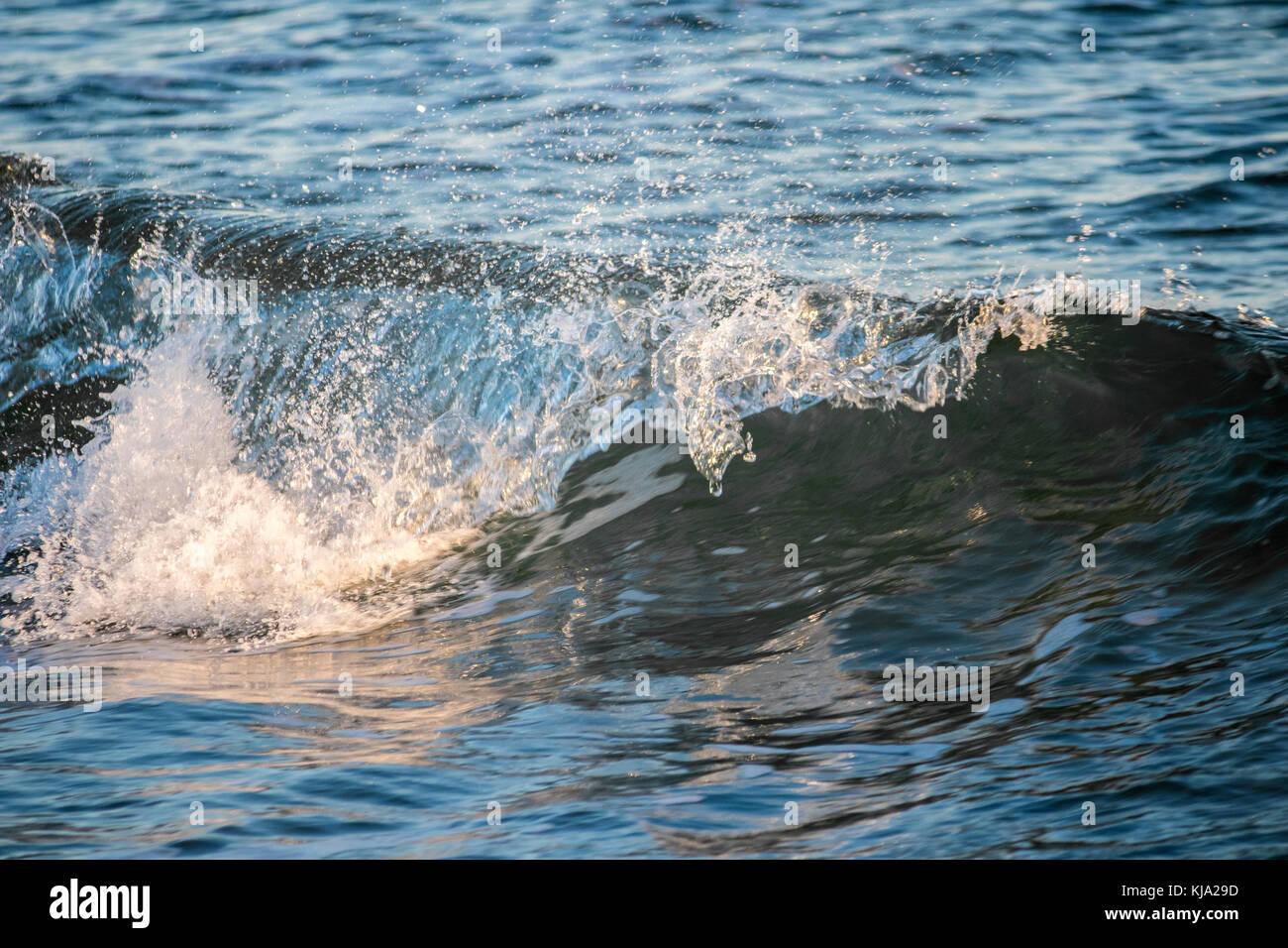Breaking wave on a beach Stock Photo - Alamy