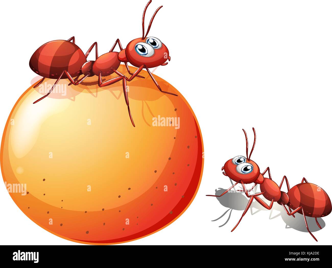 Illustration of a potato with ants on a white background Stock Vector ...