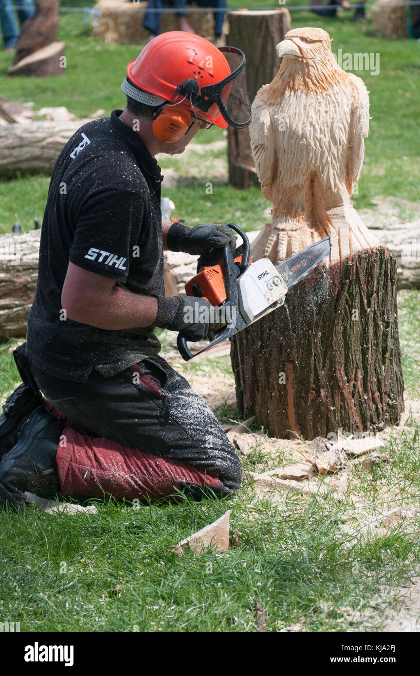 Speed Chainsaw Carving High Resolution Stock Photography and Images - Alamy