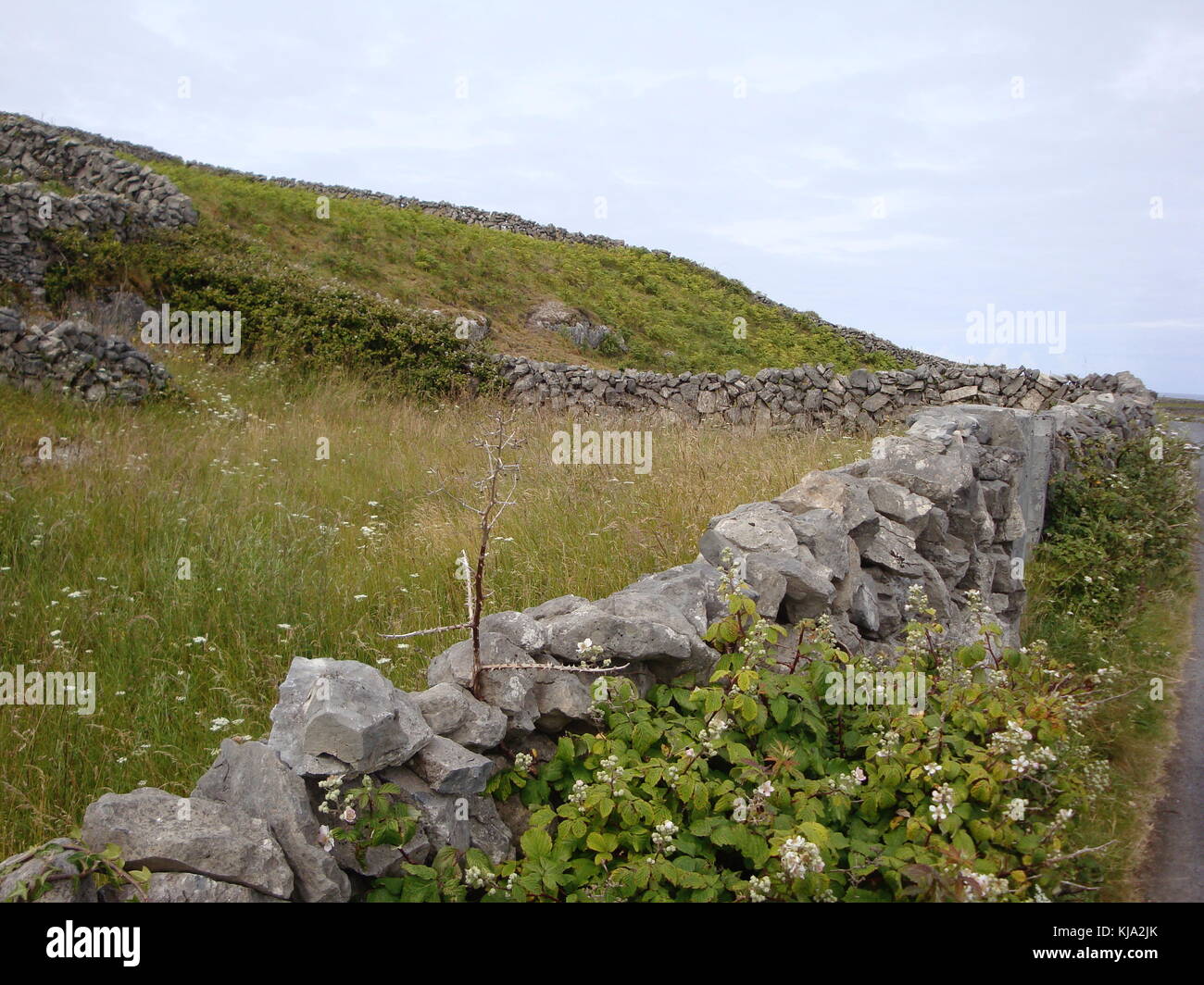 Irish hillside hi-res stock photography and images - Alamy