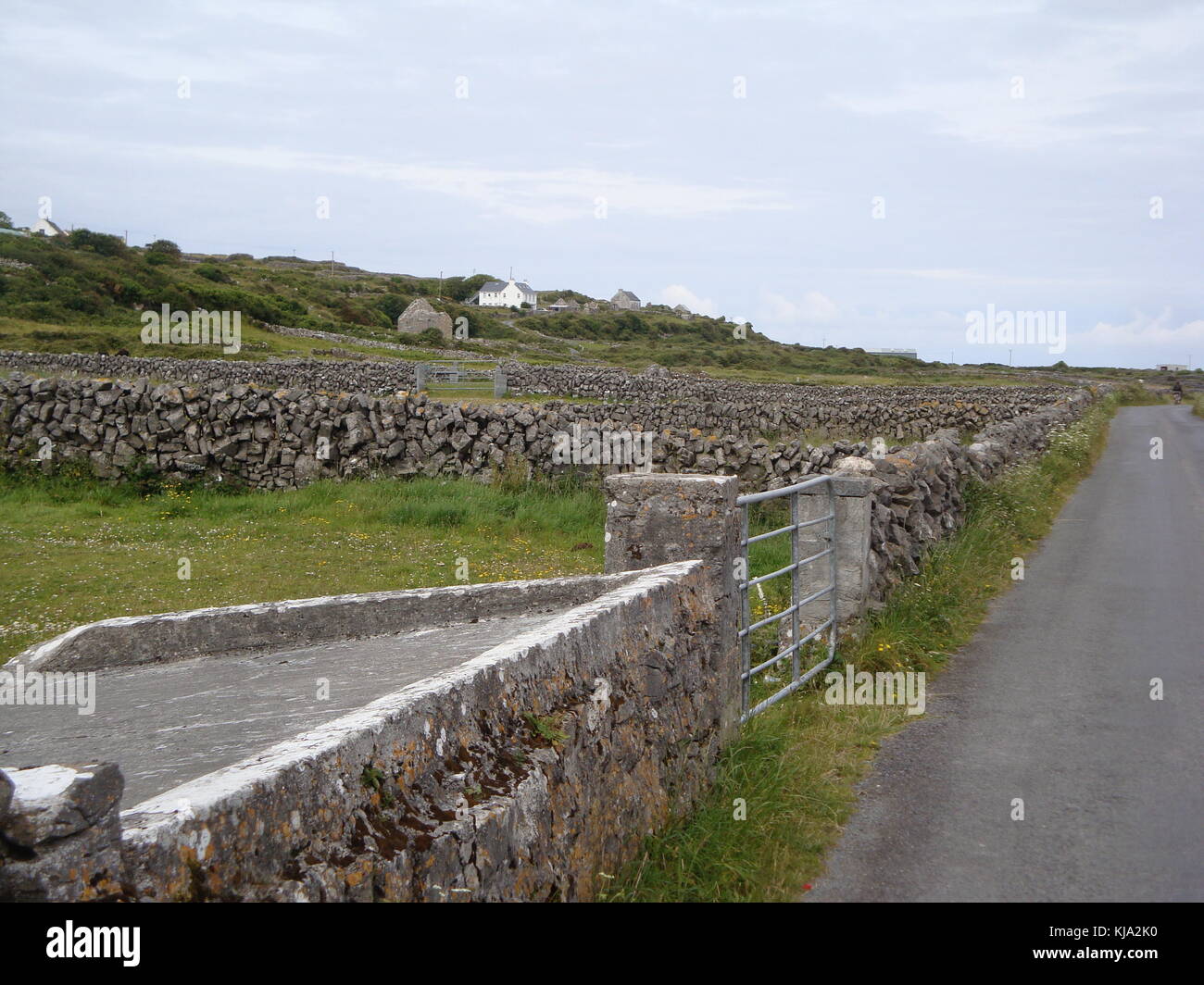 Gate and stone wall along paved road in rural Ireland Stock Photo - Alamy