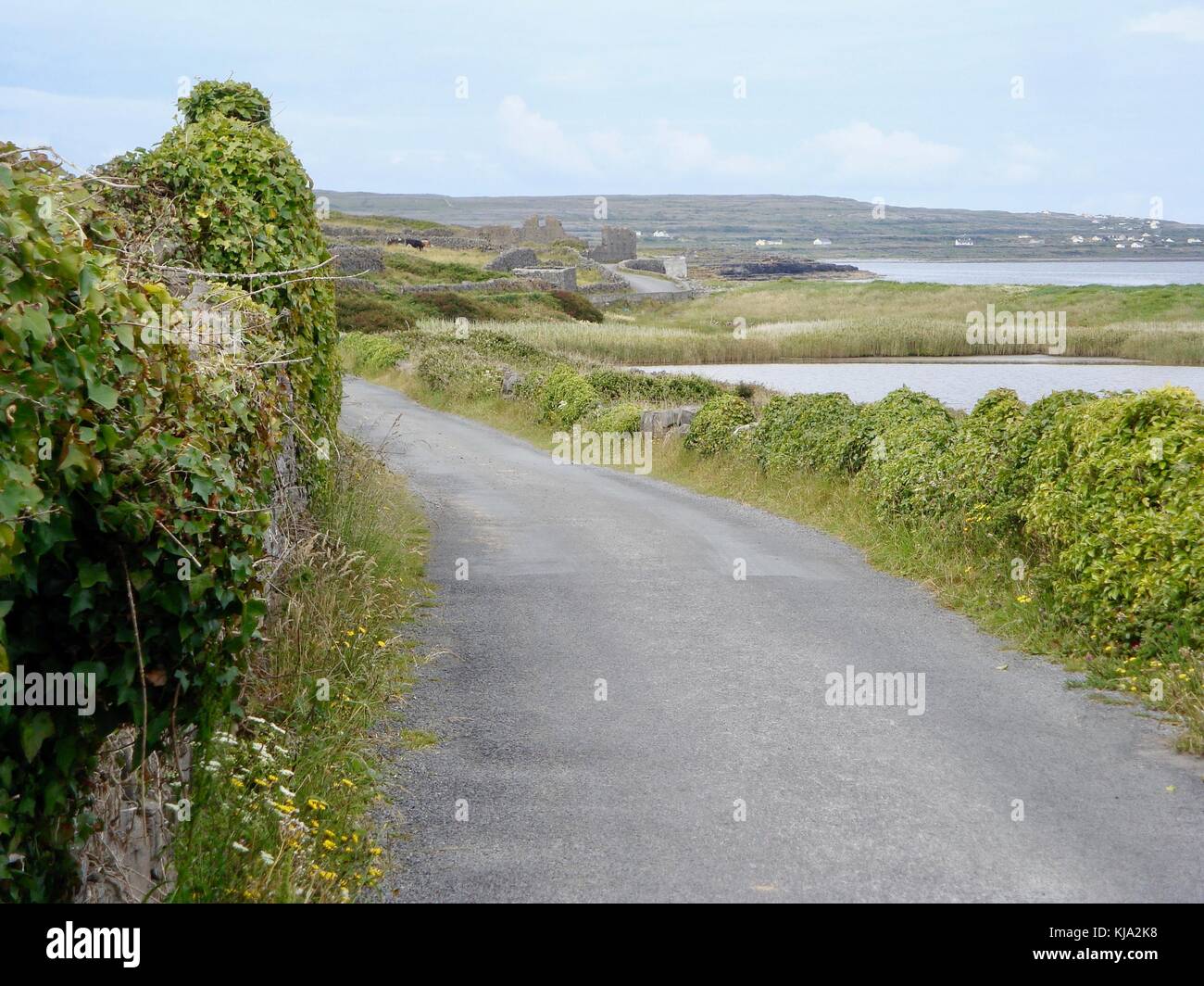 Landscaped View With Road in Rural Ireland Stock Photo - Alamy