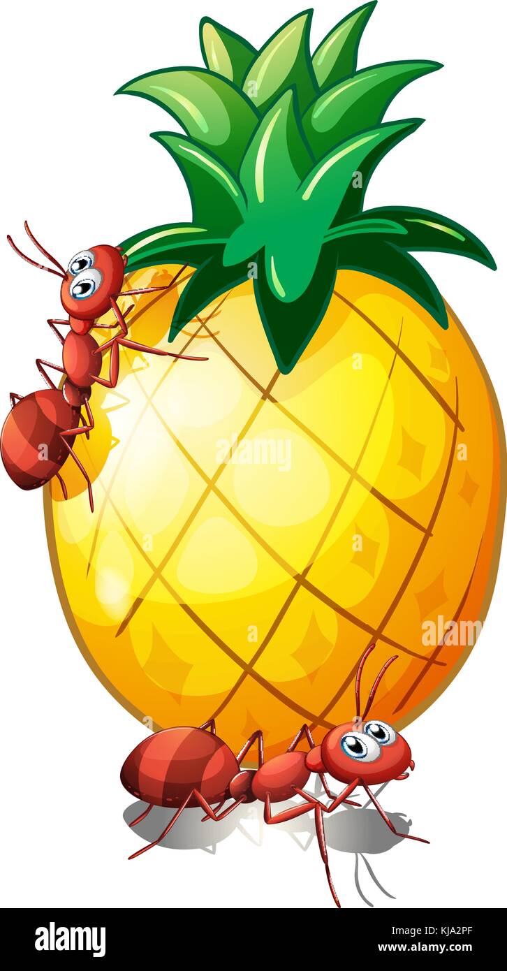 Illustration of a pineapple fruit with two ants on a white background ...