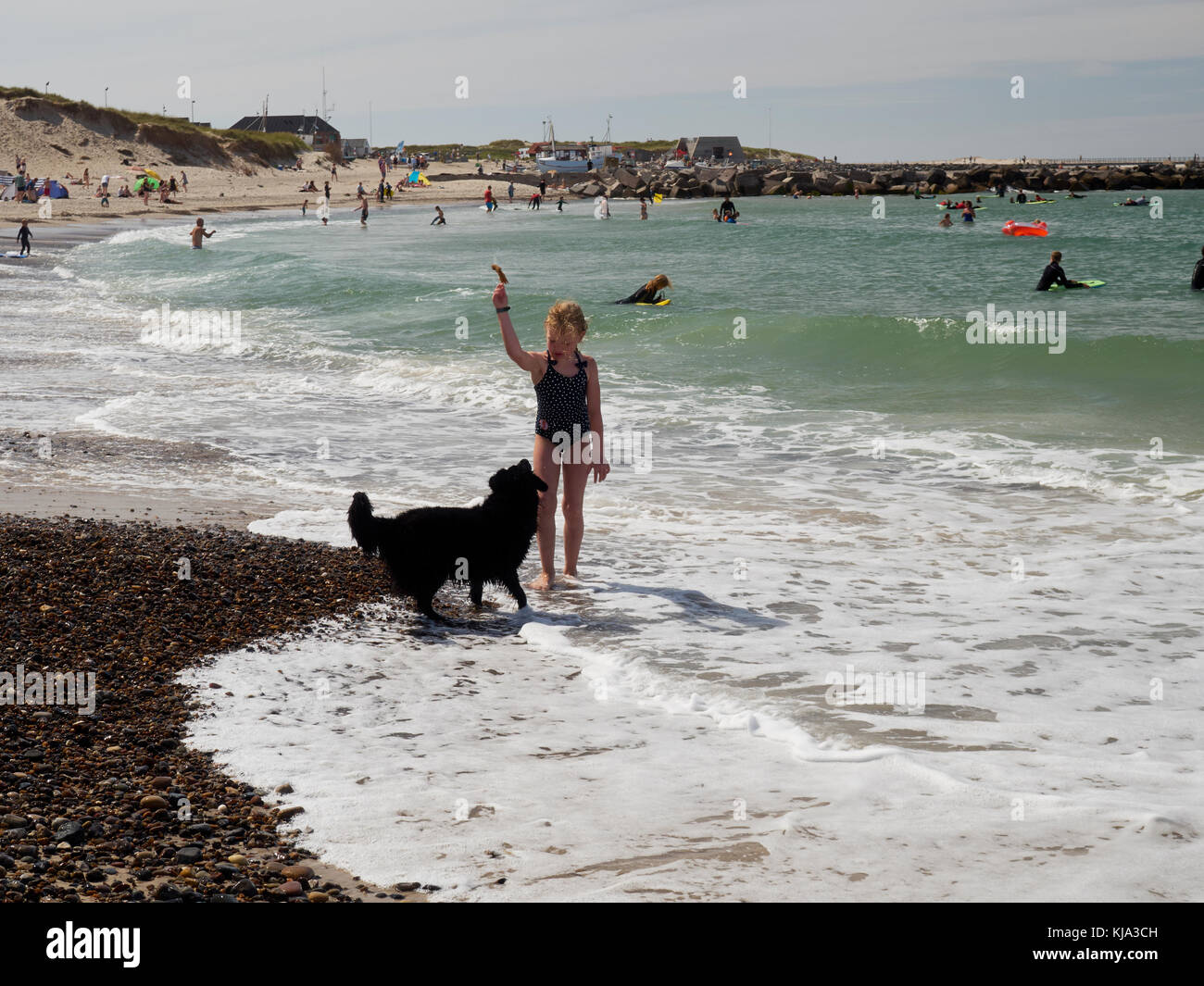 Girl on the beach playing with dog, Nr. Vorupør, Denmark Stock Photo ...