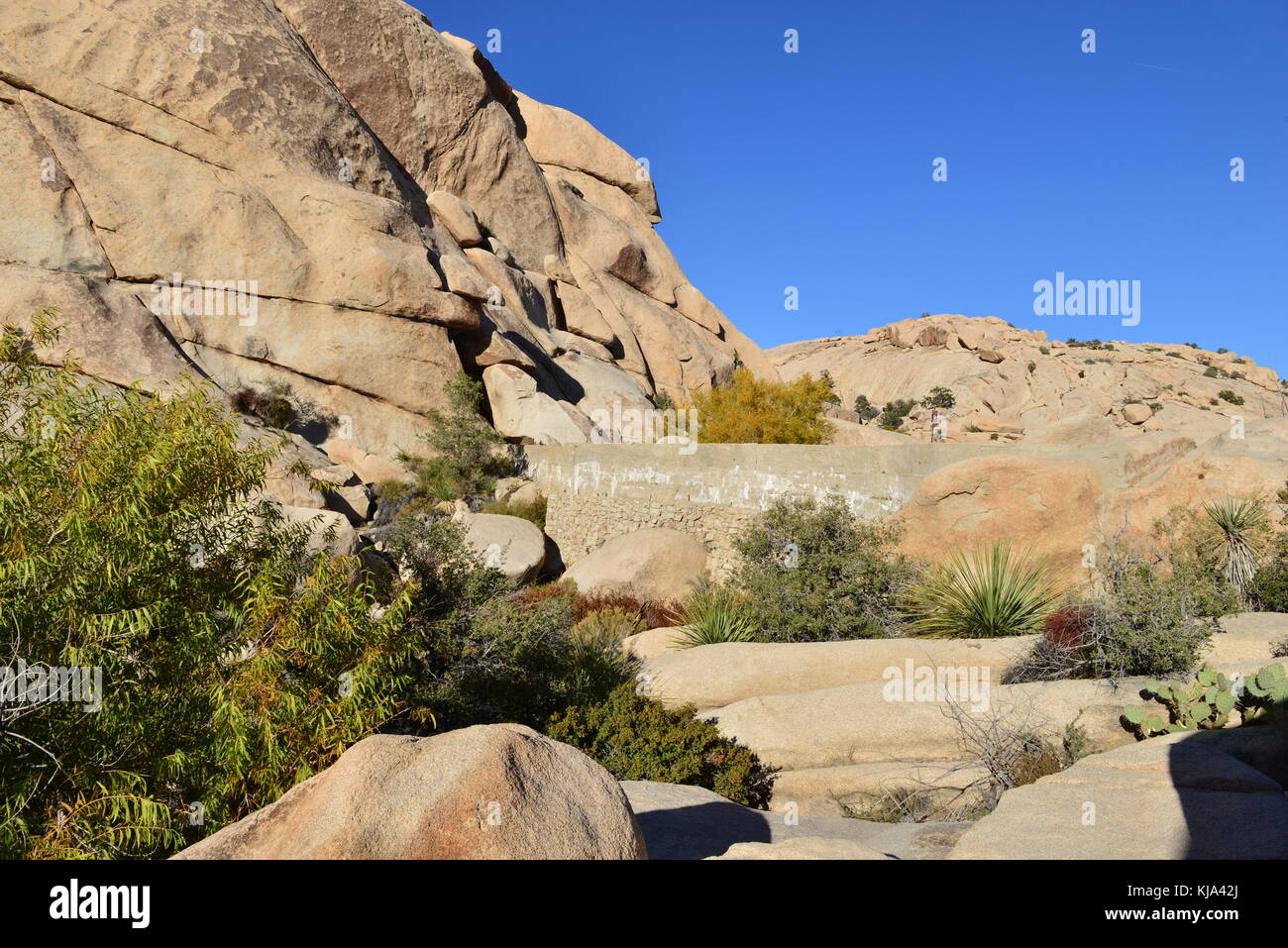 The front of a Dam at the Joshua Tree National Park Stock Photo - Alamy