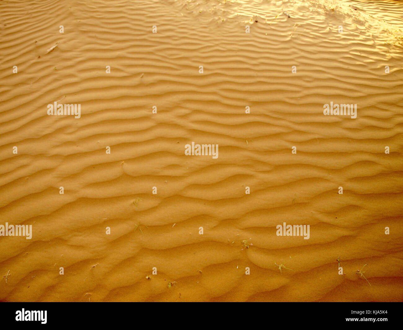 Desert sand texture Stock Photo - Alamy