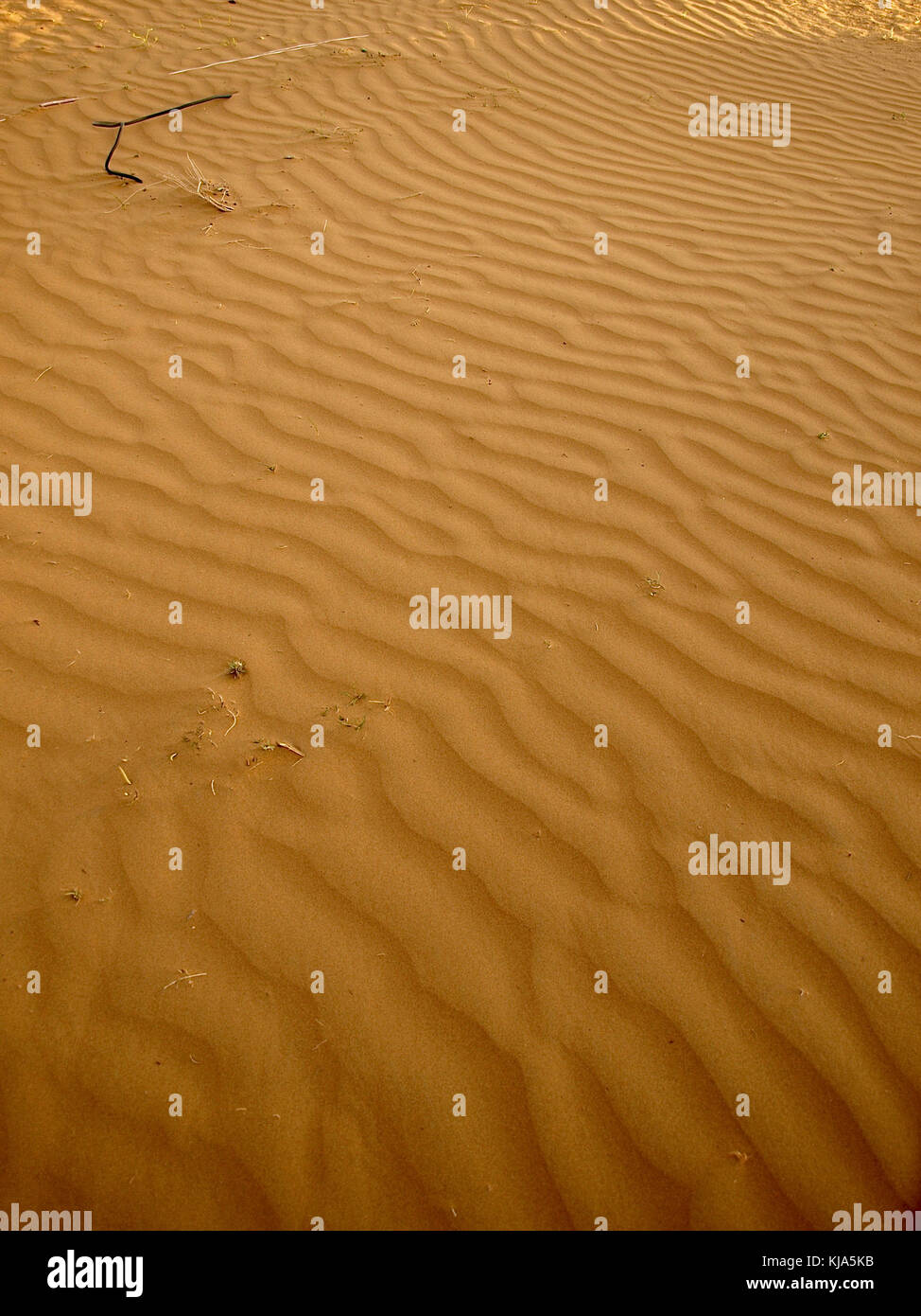Desert sand texture Stock Photo - Alamy