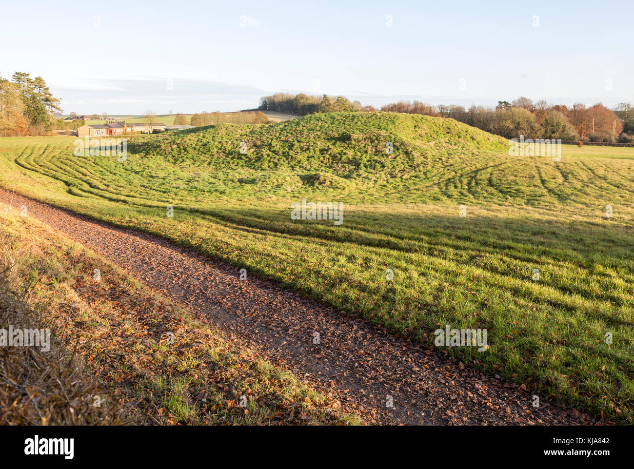 Neolithic long barrow in chalk countryside, Beckhampton, near Avebury ...