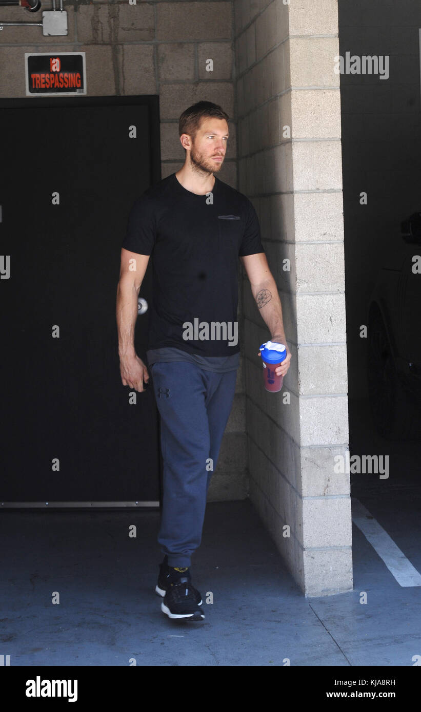 LOS ANGELES, CA - JUNE 23: Calvin Harris hits the gym after his split ...