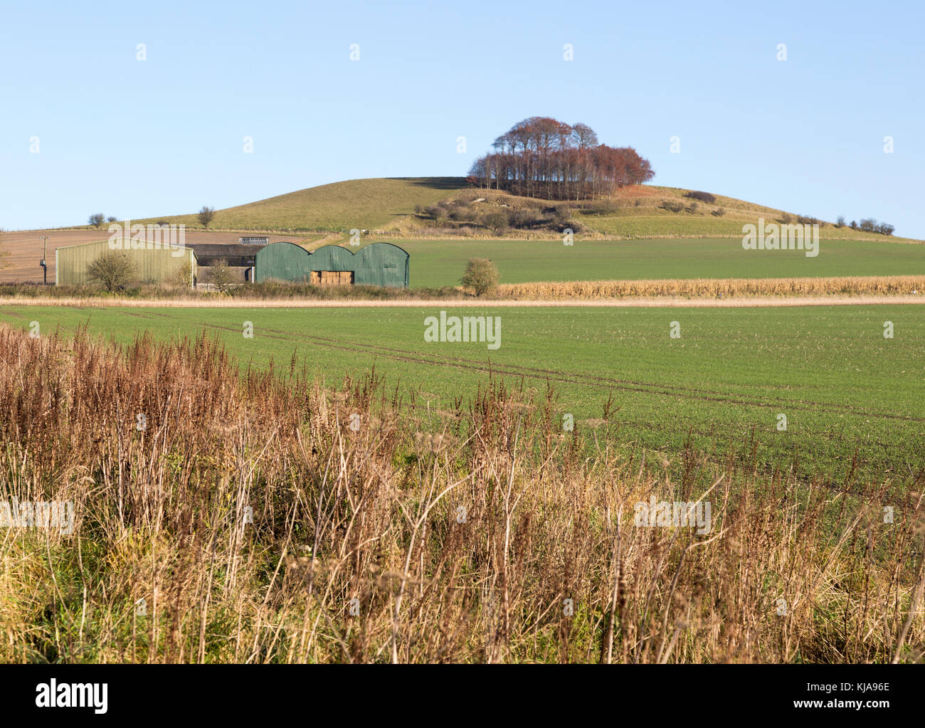 Chalk landscape in winter, Woodborough Hill, Wiltshire, England, UK ...