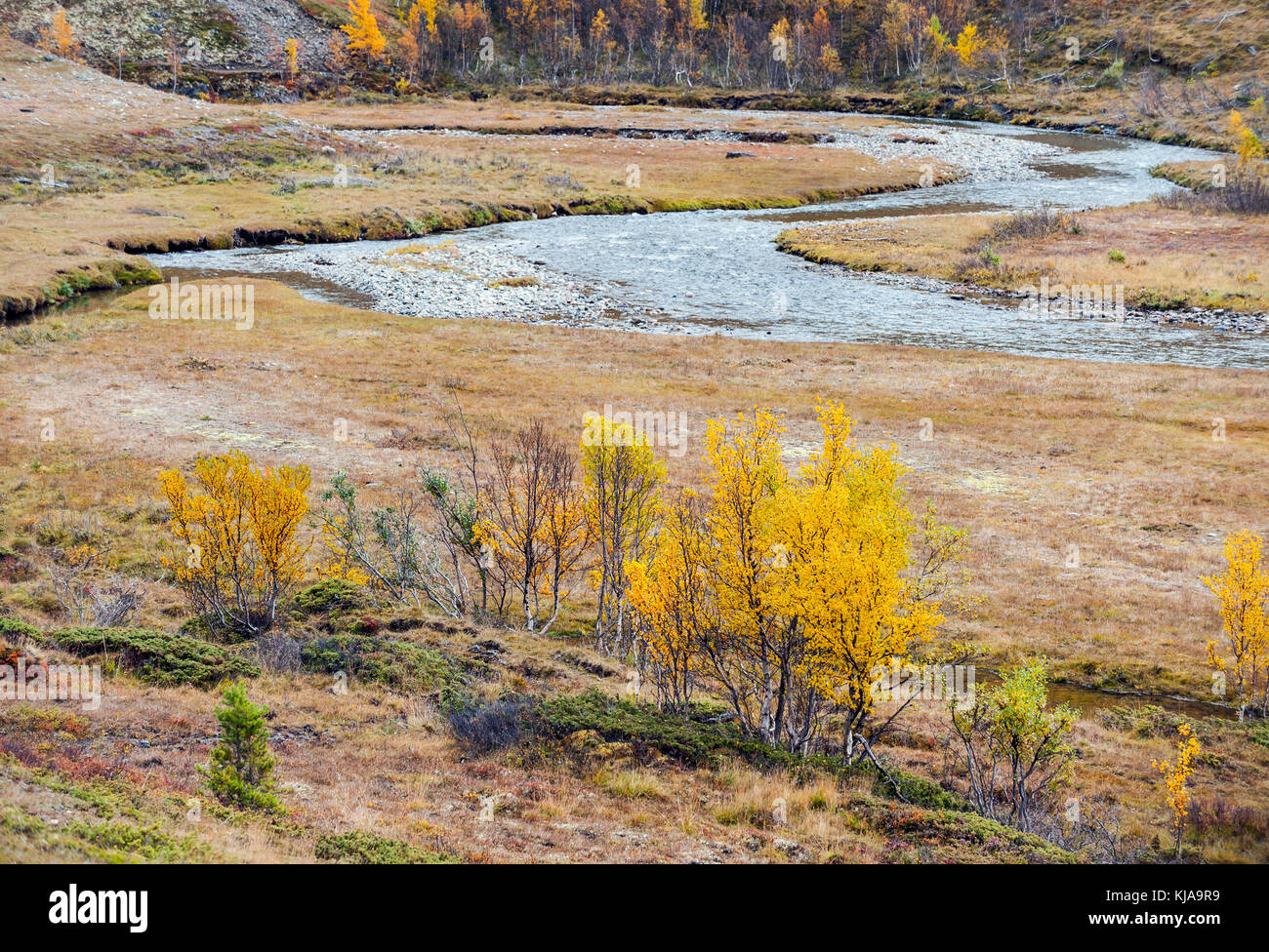 Rivulet in mountain landscape. Rondane,Norway Stock Photo - Alamy