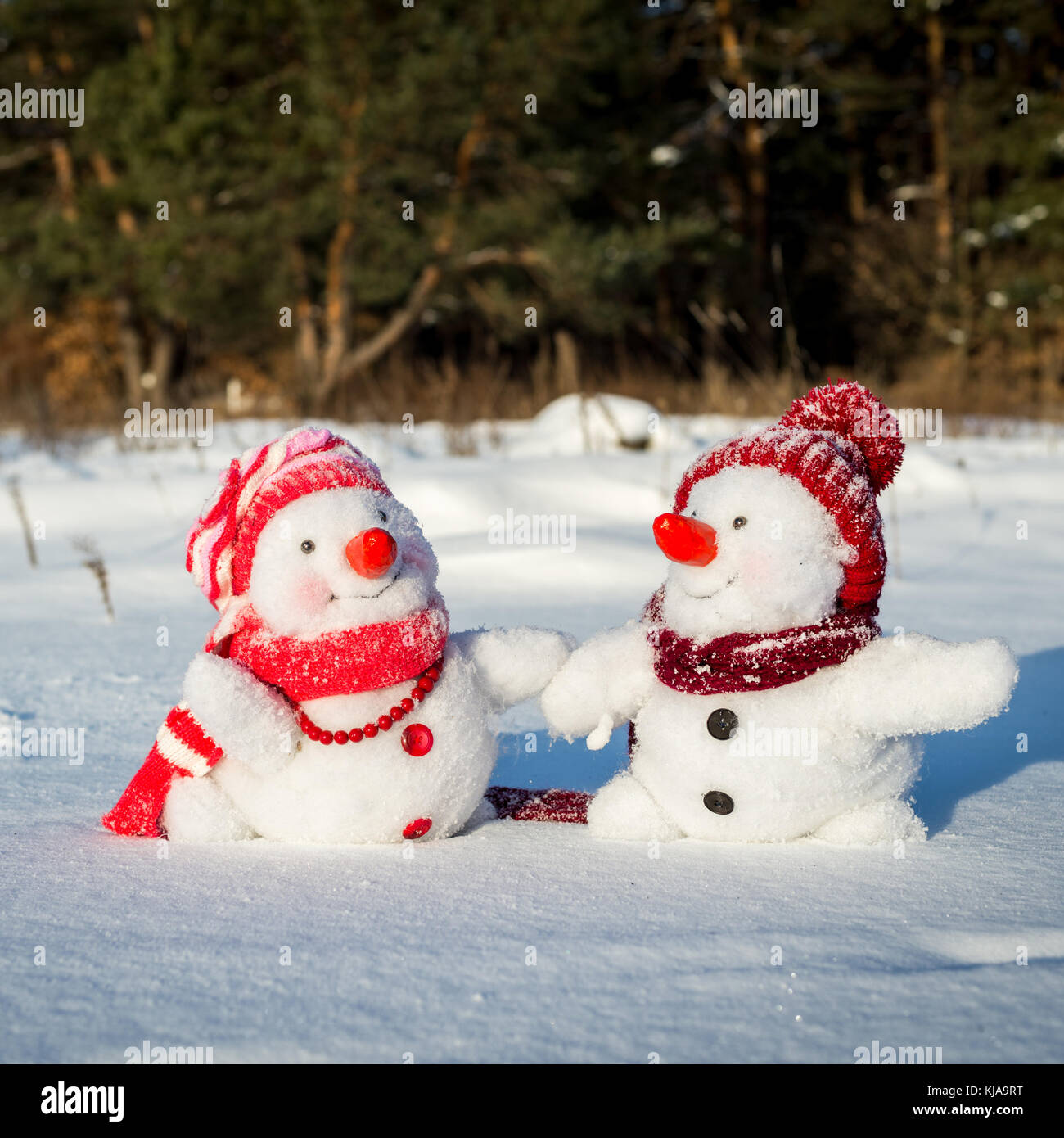 Couple of snowmen taking hand of each other Stock Photo - Alamy