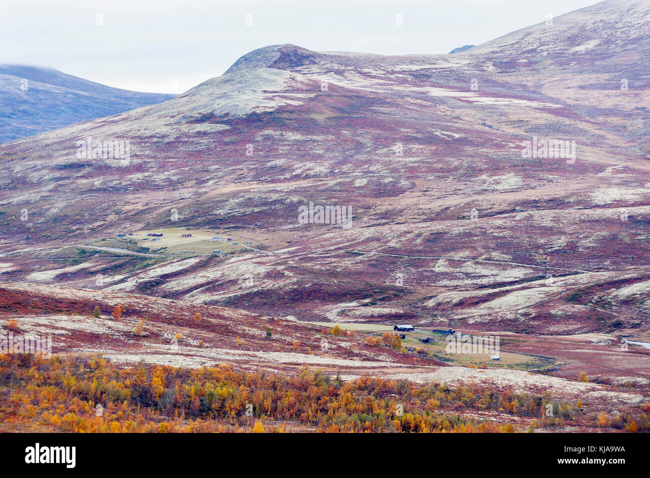 Isolated sheilings in the Norwegian mountains. Rondane, Norway Stock ...