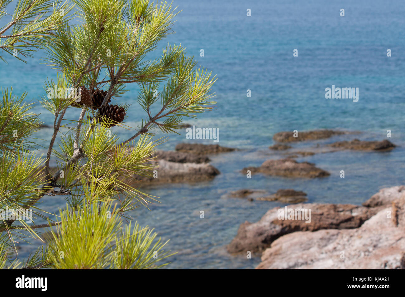 Rocks at sea Stock Photo - Alamy