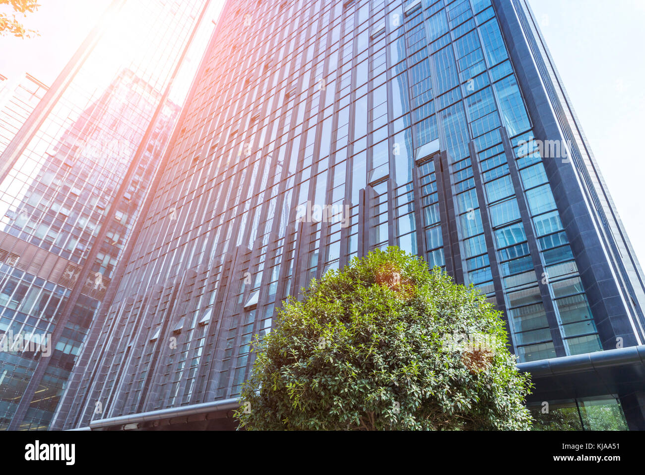 Bottom view of office building window close up Stock Photo - Alamy