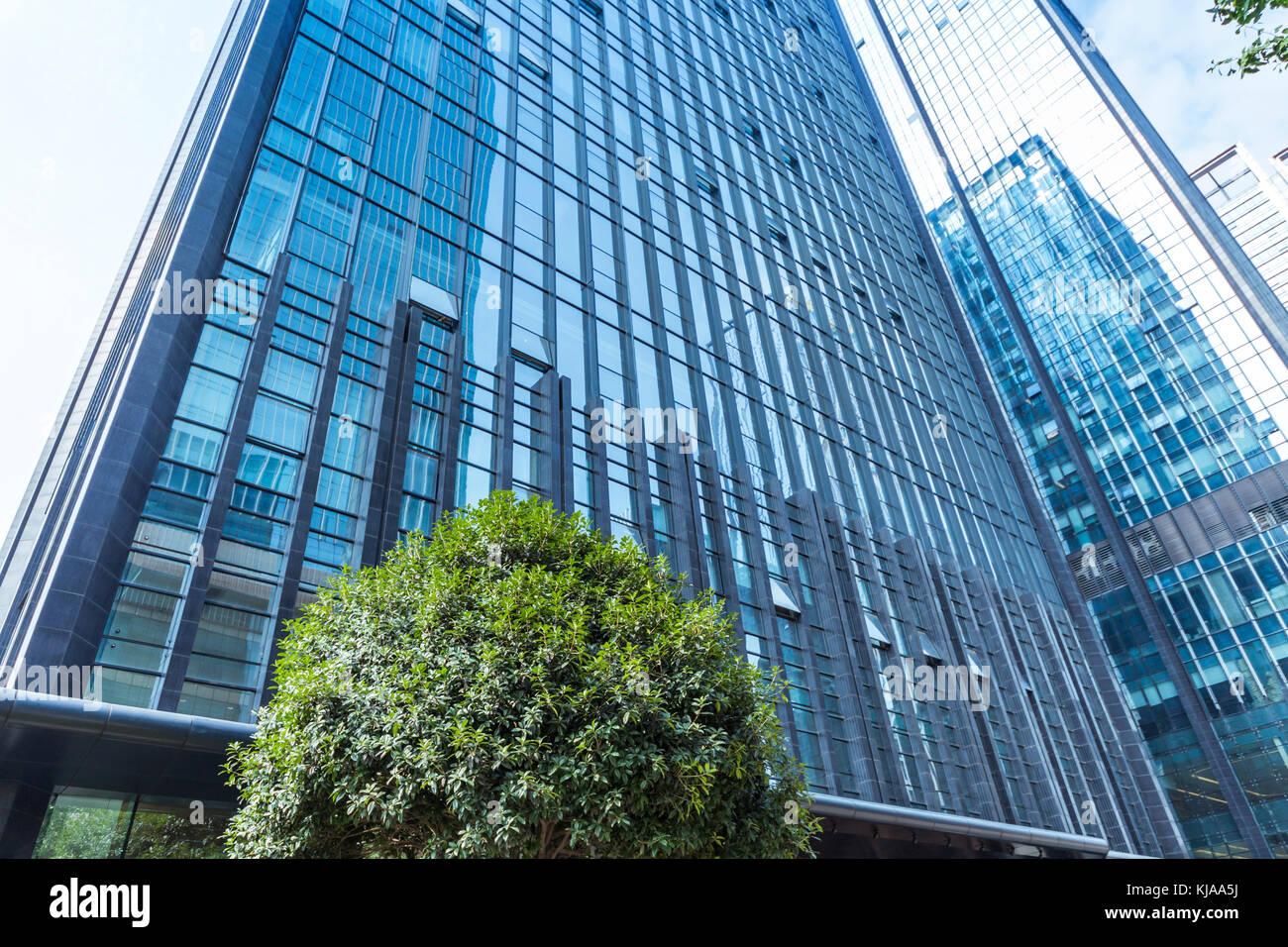 Bottom view of office building window close up Stock Photo - Alamy