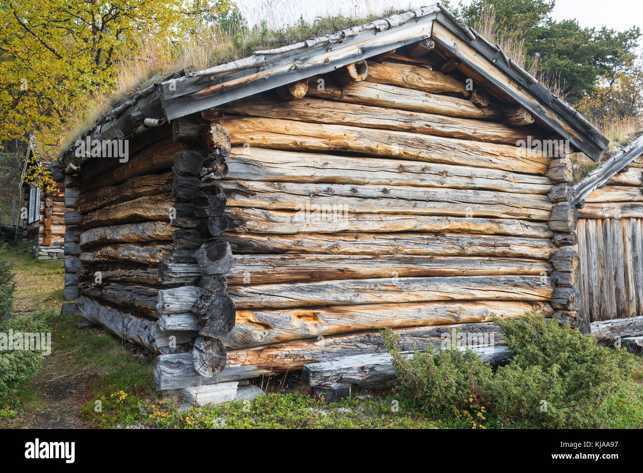 Log house in Norway Stock Photo - Alamy