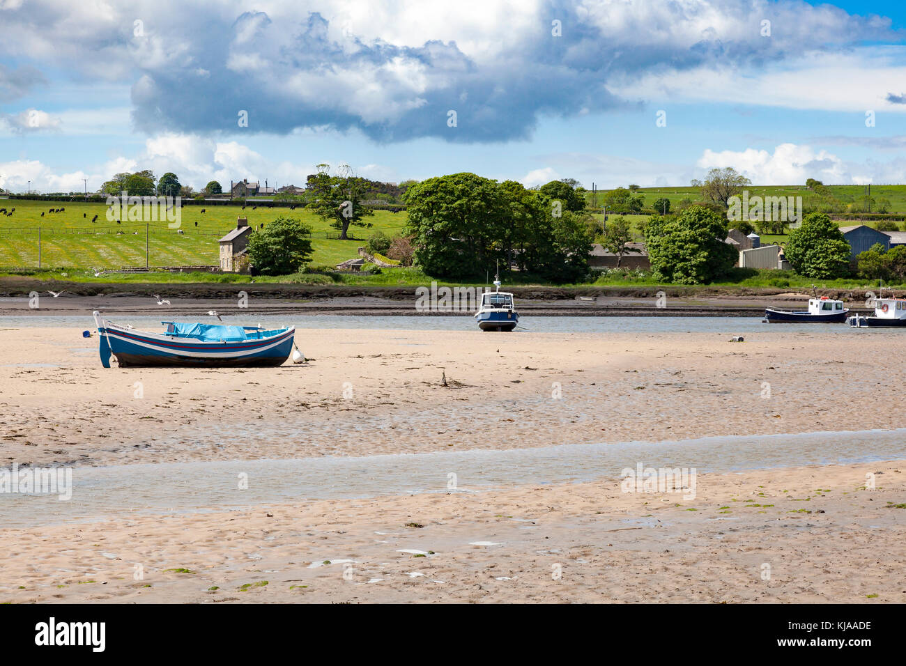 Alnmouth estuary river aln on hi-res stock photography and images - Alamy