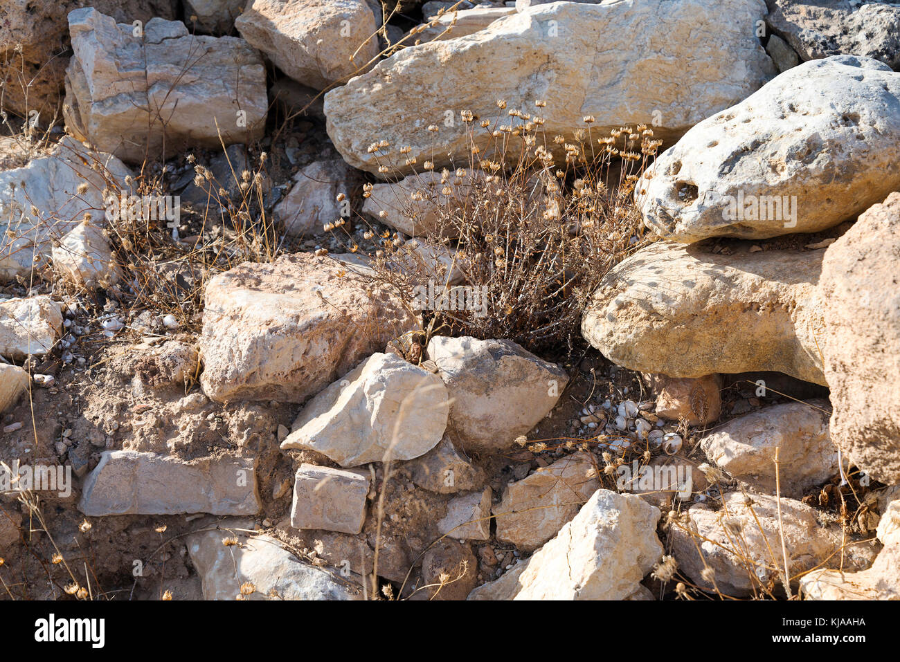 Texture white stone on the cliffs of the island of Crete Stock Photo ...