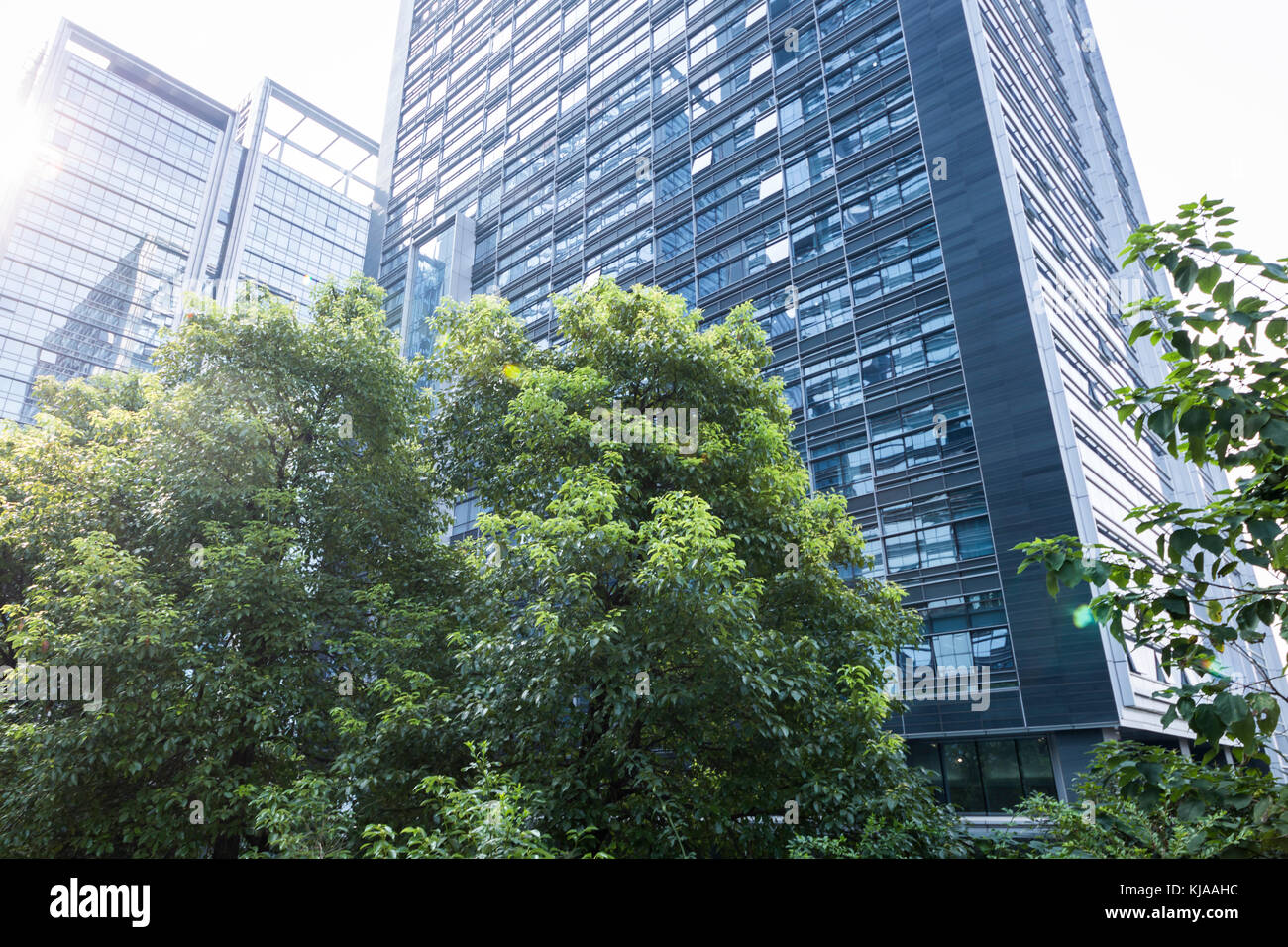 Bottom view of office building window close up Stock Photo - Alamy