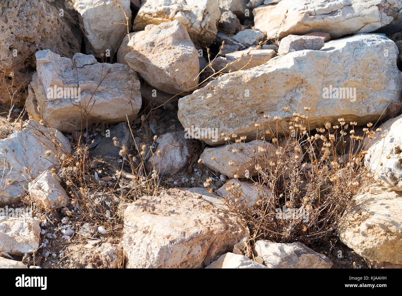 Texture white stone on the cliffs of the island of Crete Stock Photo ...