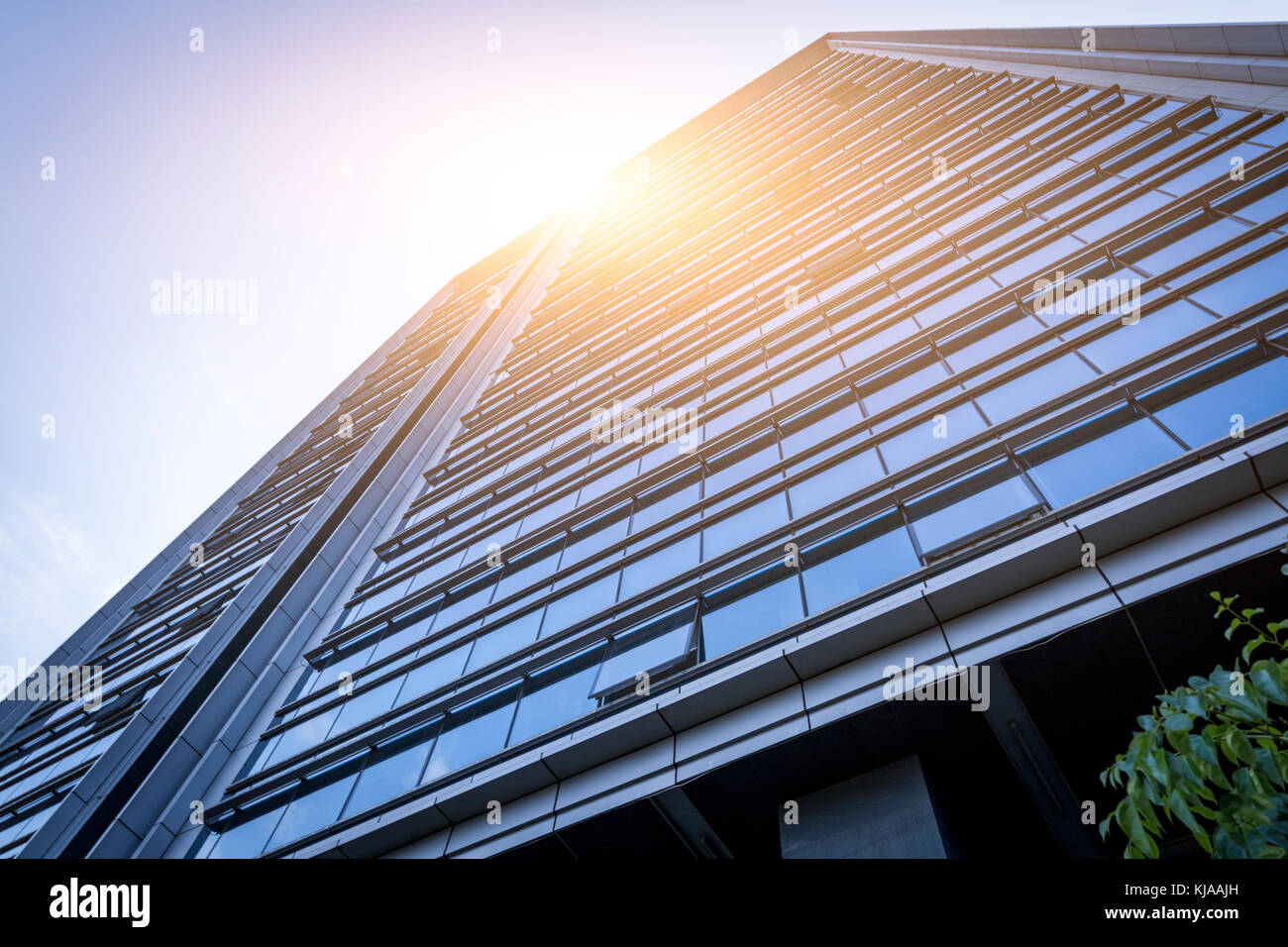 Bottom view of office building window close up Stock Photo - Alamy