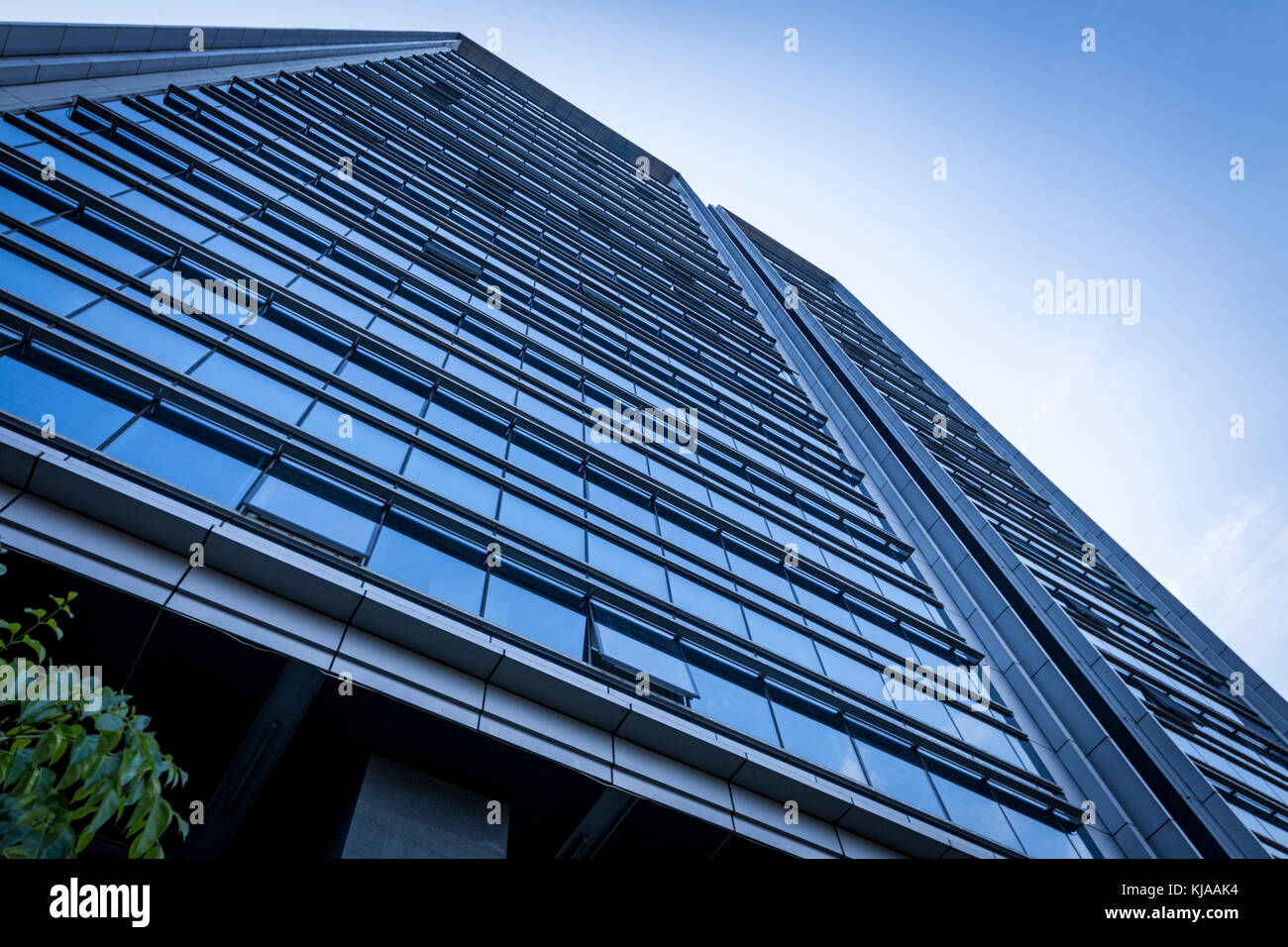 Bottom view of office building window close up Stock Photo - Alamy