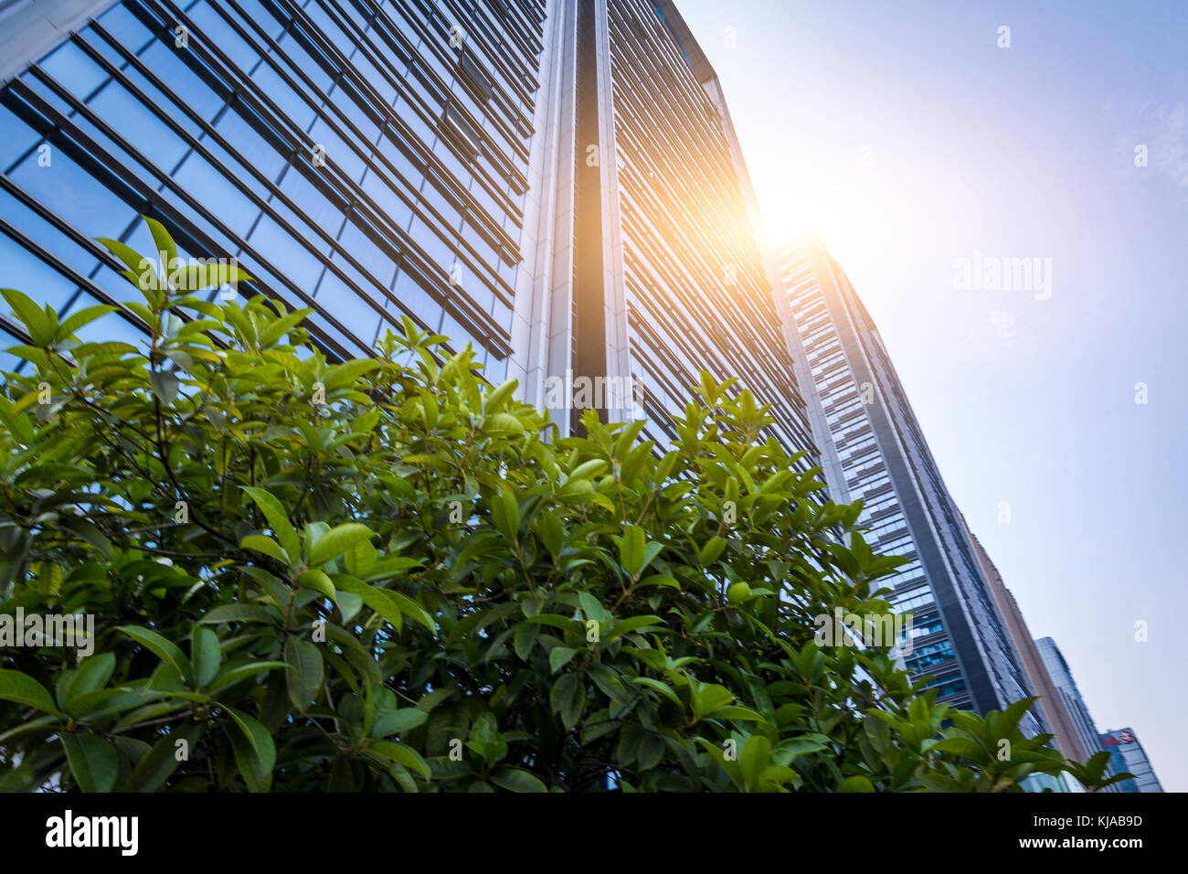 Bottom view of office building window close up Stock Photo - Alamy