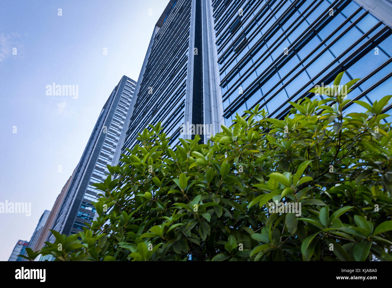 Bottom view of office building window close up Stock Photo - Alamy