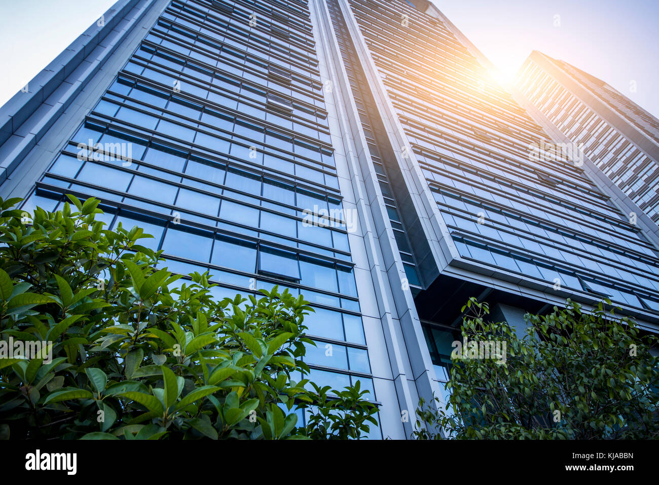 Bottom view of office building window close up Stock Photo - Alamy