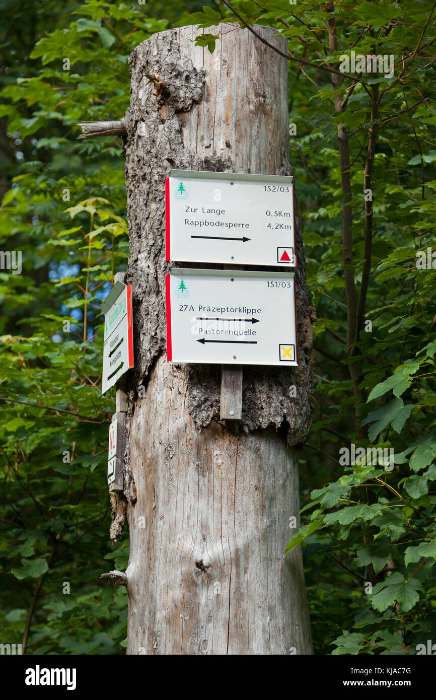 Harzer Hexenstieg bei Rübeland im Harz Stock Photo - Alamy