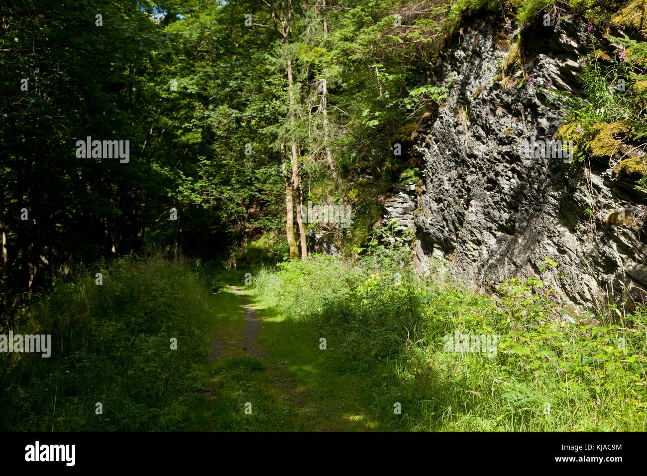 Harzer Hexenstieg bei Rübeland im Harz Stock Photo - Alamy