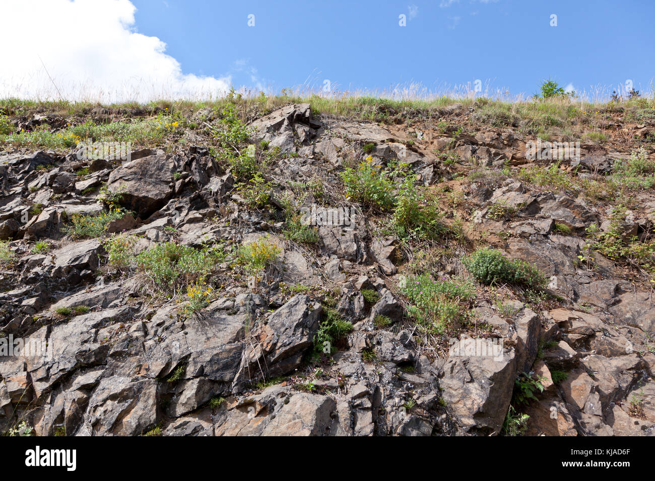 Karge vegetation hi-res stock photography and images - Alamy