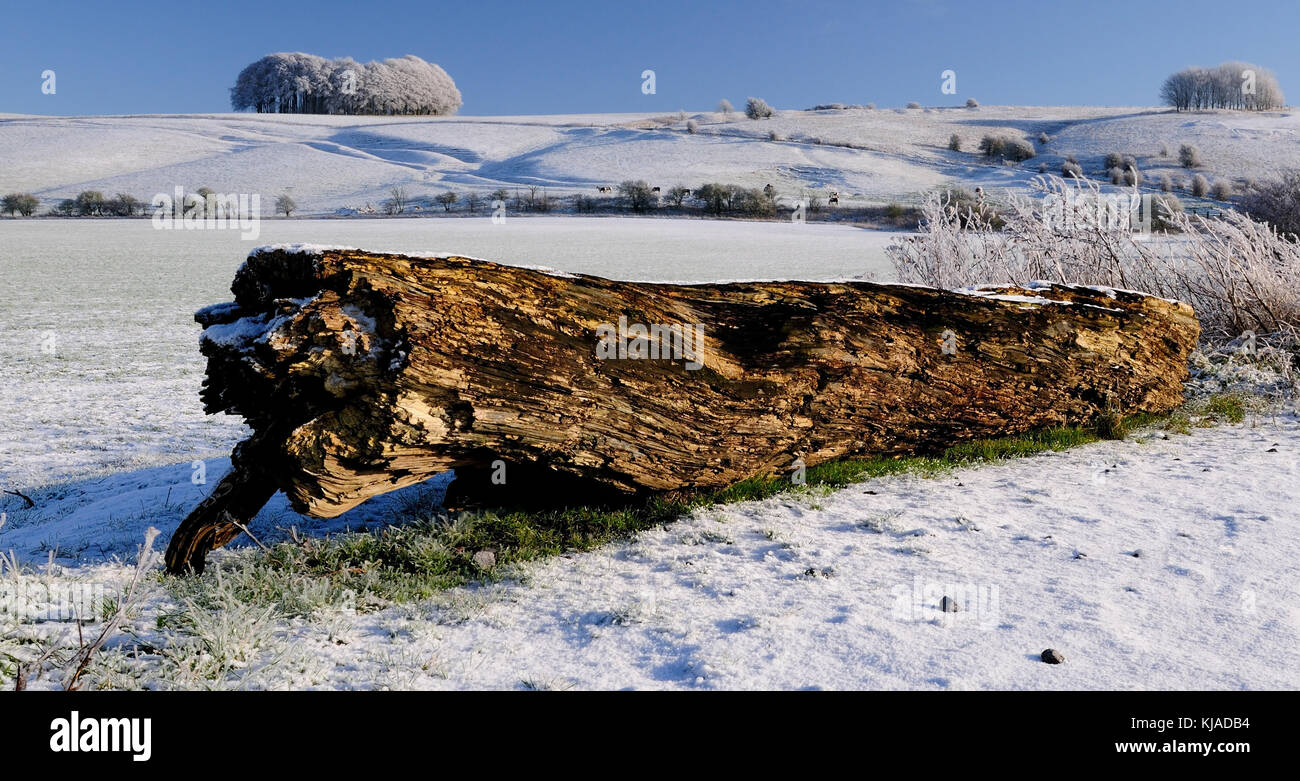 Snowfall over Hackpen Hill and the Ridgeway Stock Photo - Alamy