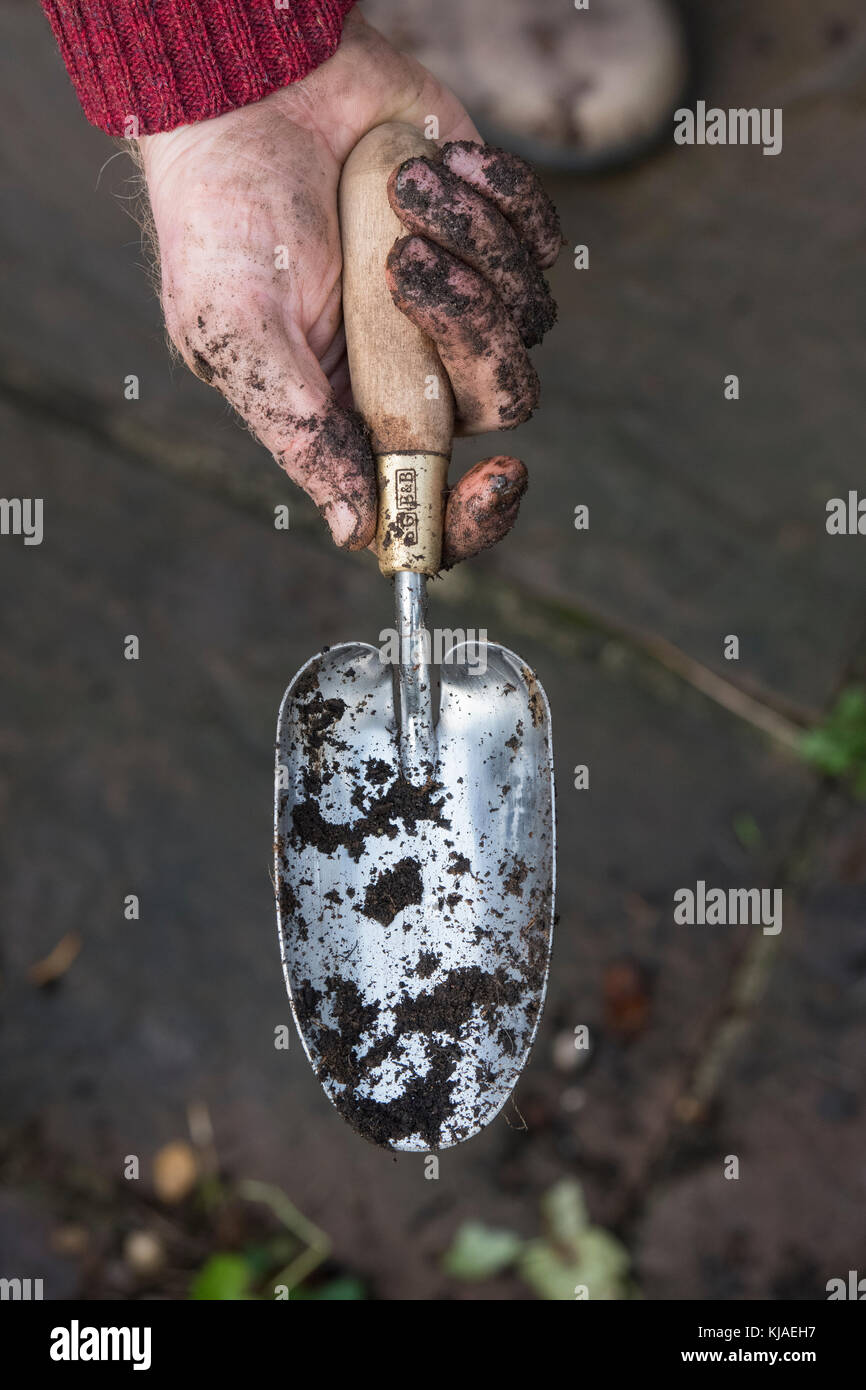 Gardeners hand holding a hand trowel. UK Stock Photo - Alamy